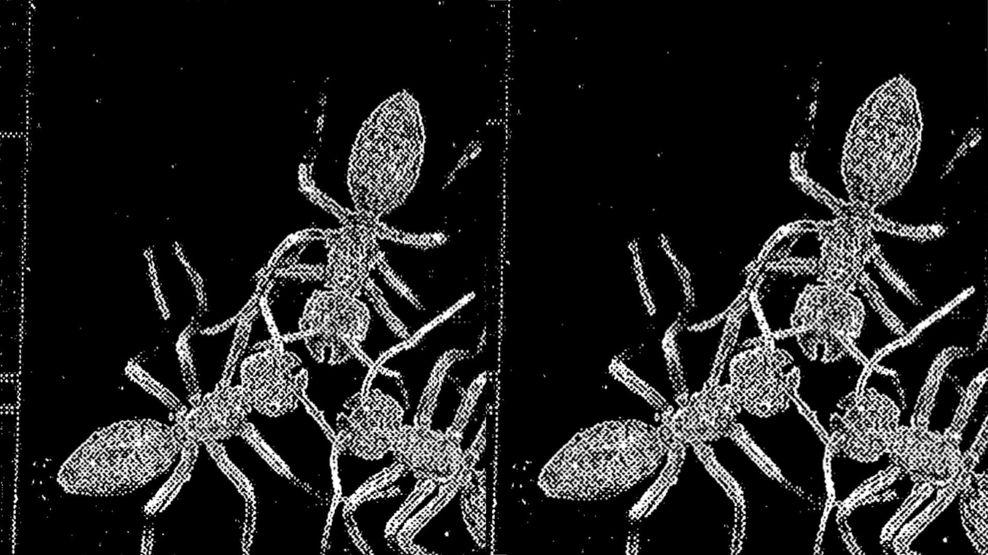 Messages to the Majors - Break/Flow 1 - Record Reviews (1996) - Datacide