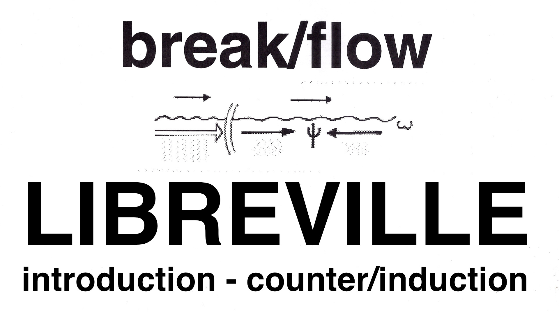 LIBREVILLE - Datacide