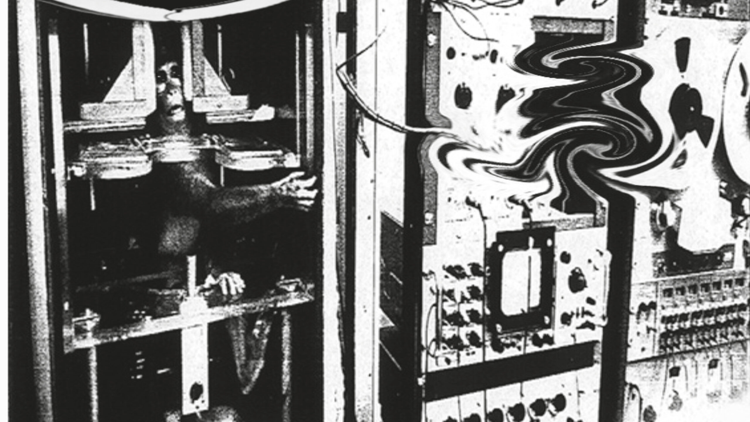 Mr. Chairman, dear colleagues, ladies and gentlemen, - Datacide