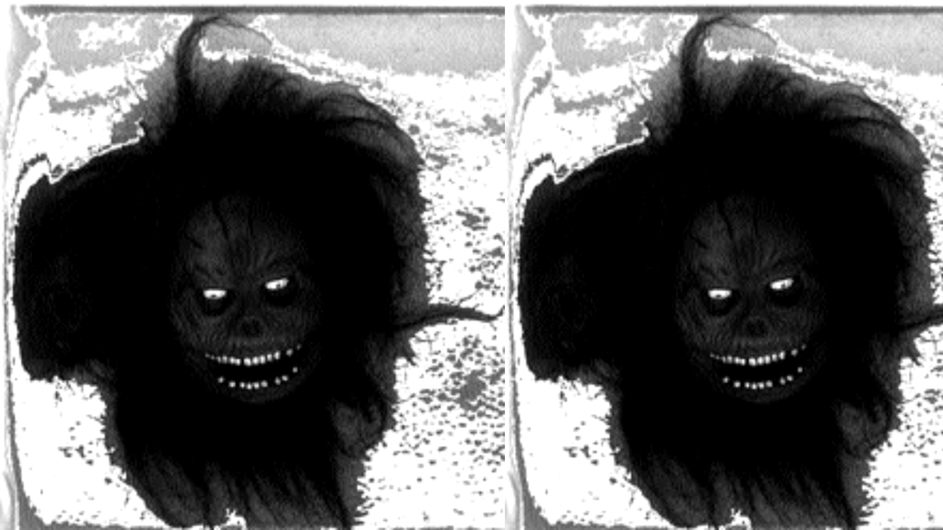 THE ASSESSOR - Datacide